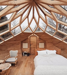 Geodesic Forests | Geodesic Domes in Africa